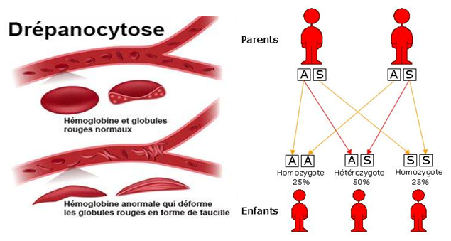 Communiqué de presse Semaine de sensibilisation 2017 | APIPD